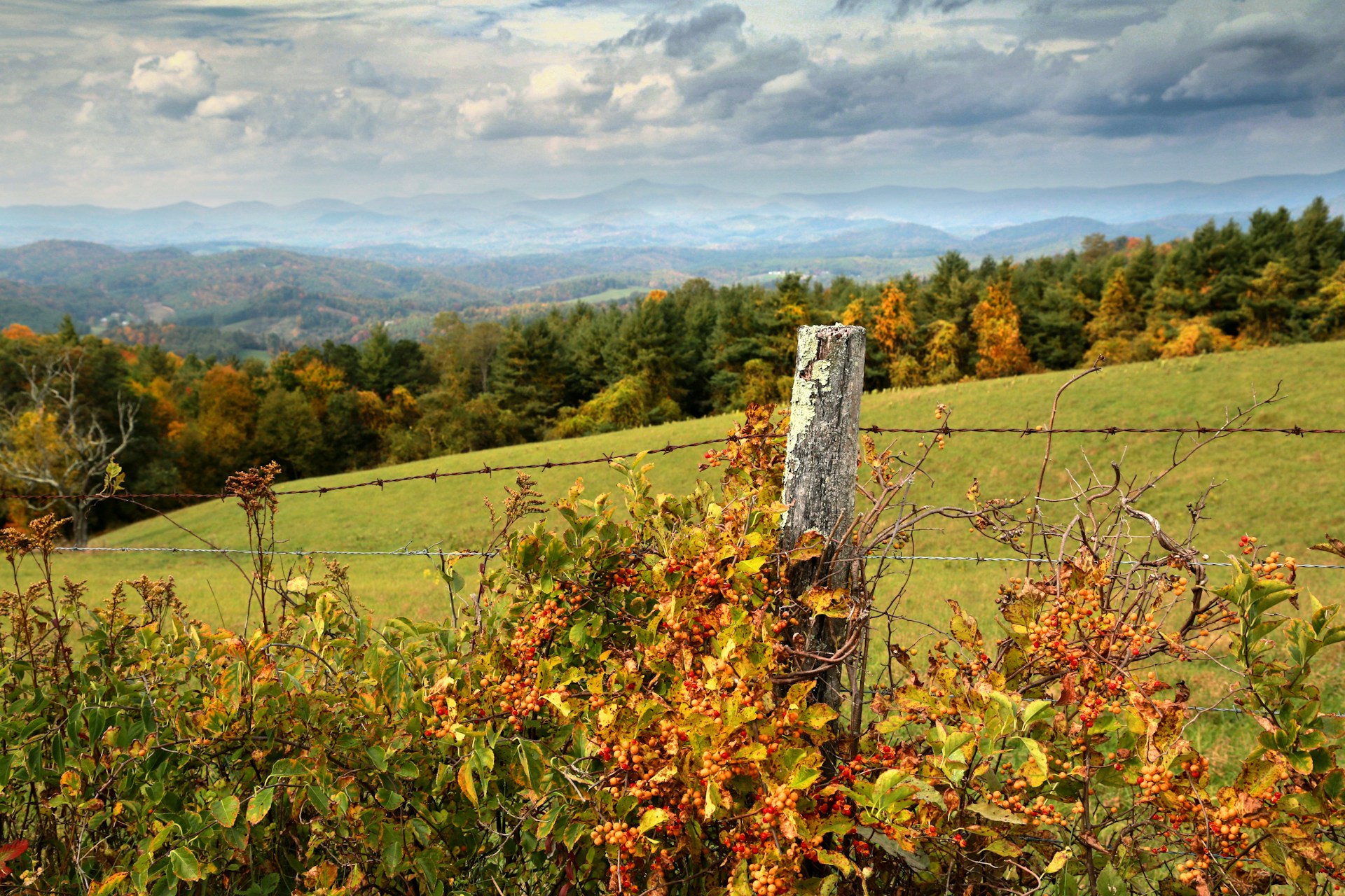 Foliage autunnale in Italia: quando e dove ammirarlo